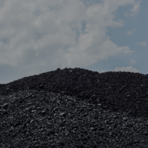 Homepage - Peeters Group